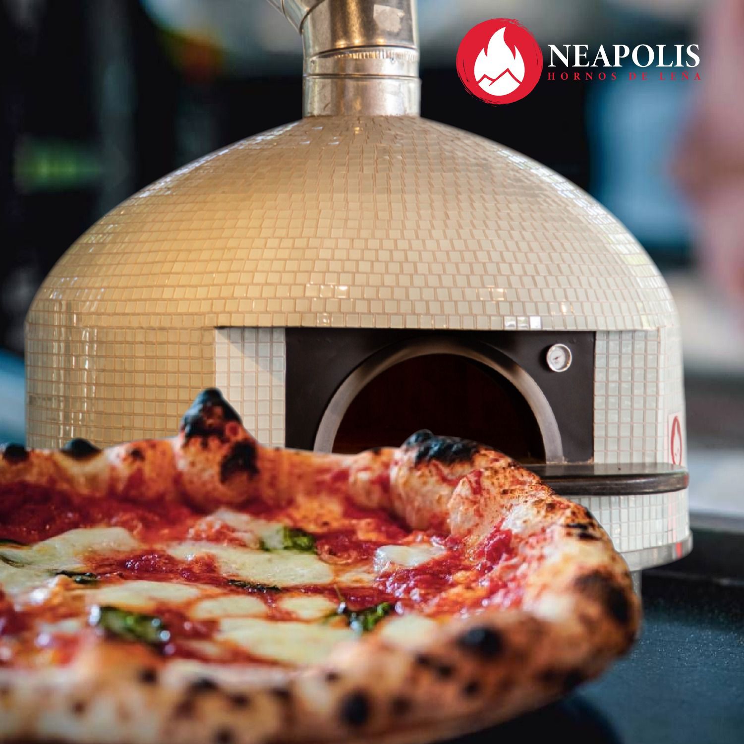 Horno Napolitano Gas Y Leña Para Pizza Neapolis Mod 100 Int | punto y compra